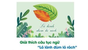 Giải thích câu tục ngữ “Lá lành đùm lá rách” chi tiết từ A đến Z